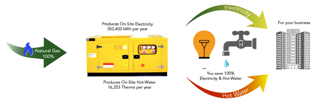 Orion Power & Co-Gen – ZERO Distribution